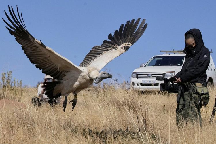 Sebabatso Mosamo, an AP visual journalist in South Africa, has died