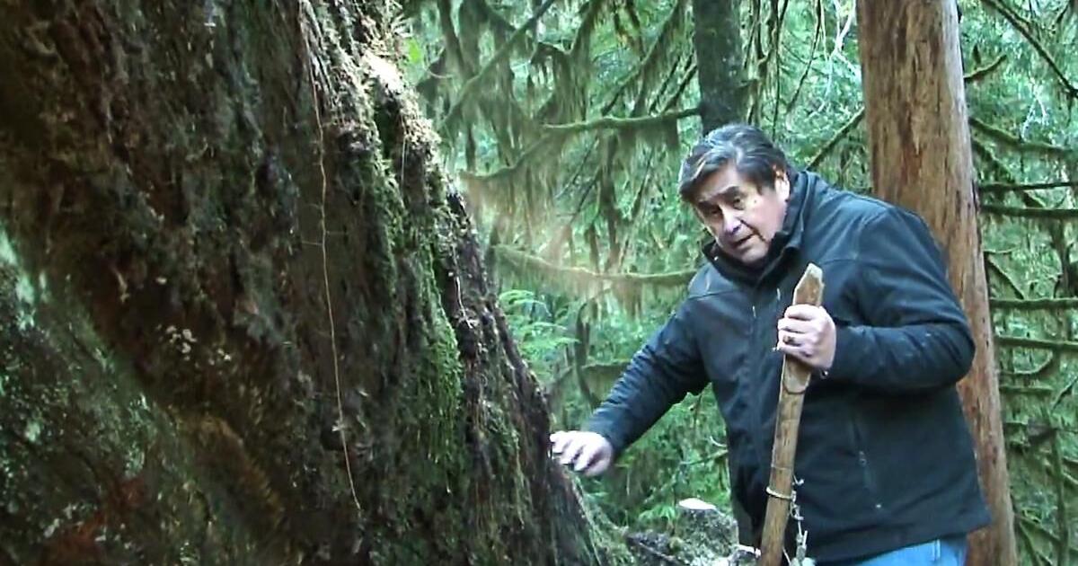 Efforts to keep B.C.’s Indigenous languages alive reach new heights