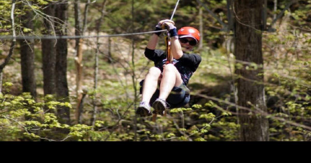 Zip-lining in Toronto: Adventure course proposed for Earl Bales Park