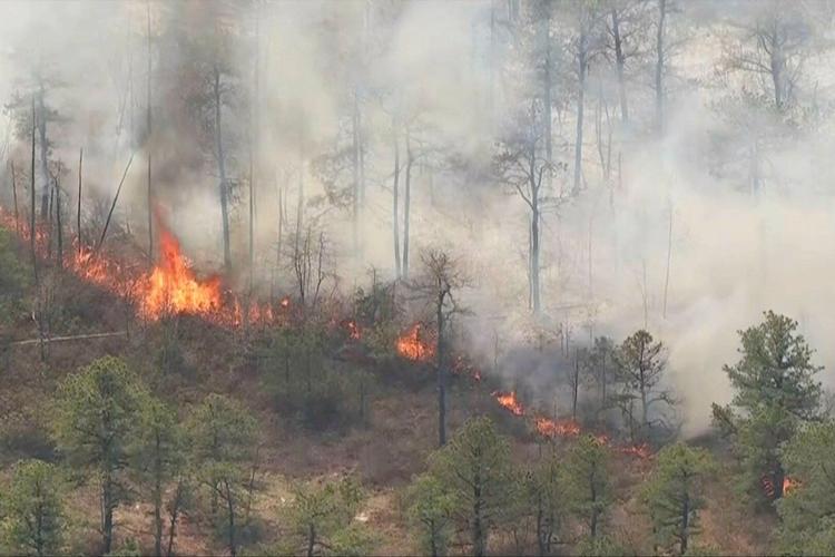 Man charged with arson after authorities say he sparked New Jersey Pine ...