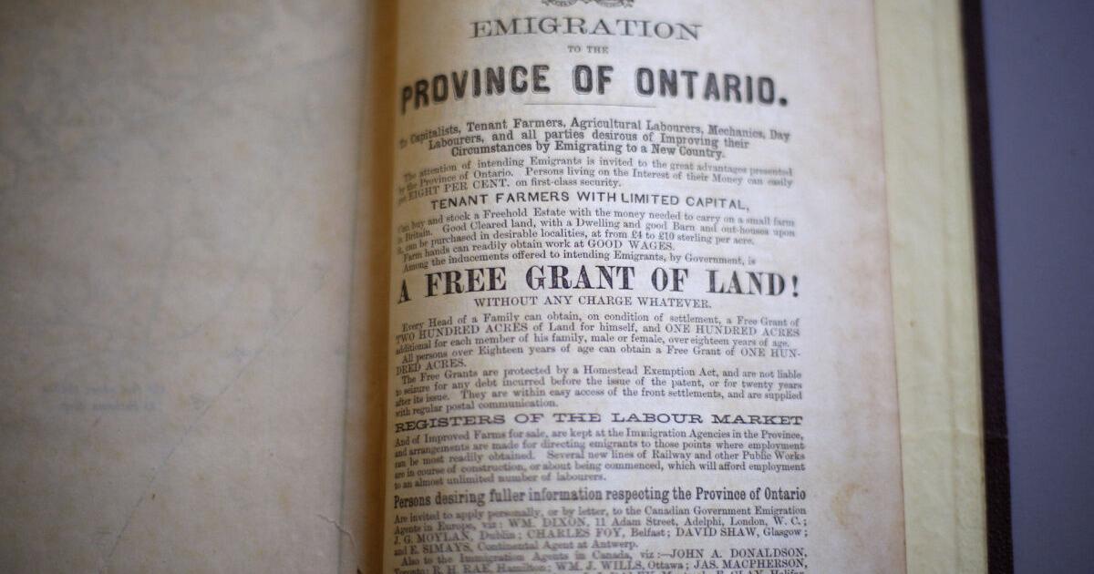Tips for bush immigrants from 1871