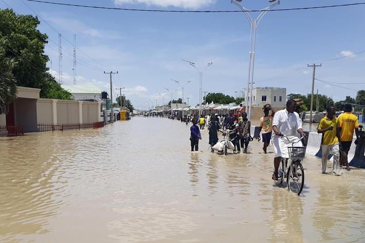 Dam collapse in Nigeria sweeps deadly reptiles into flooded communities