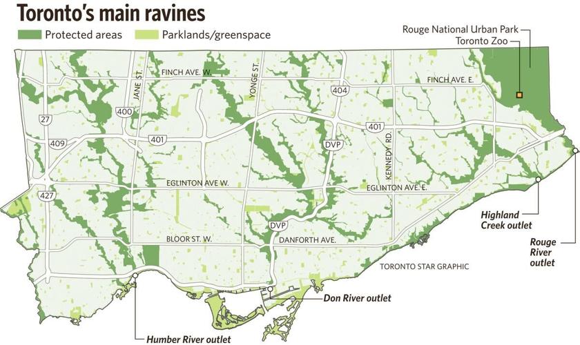 Toronto pushes for litter removal, invasive species control in ...