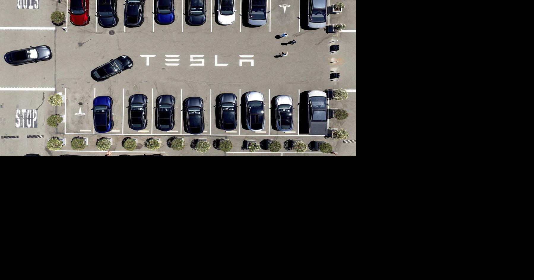 Tesla used bots to run the bank on Canadian EV rebates
