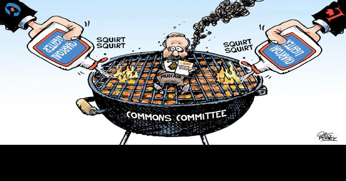 greg perry cartoon for may 19