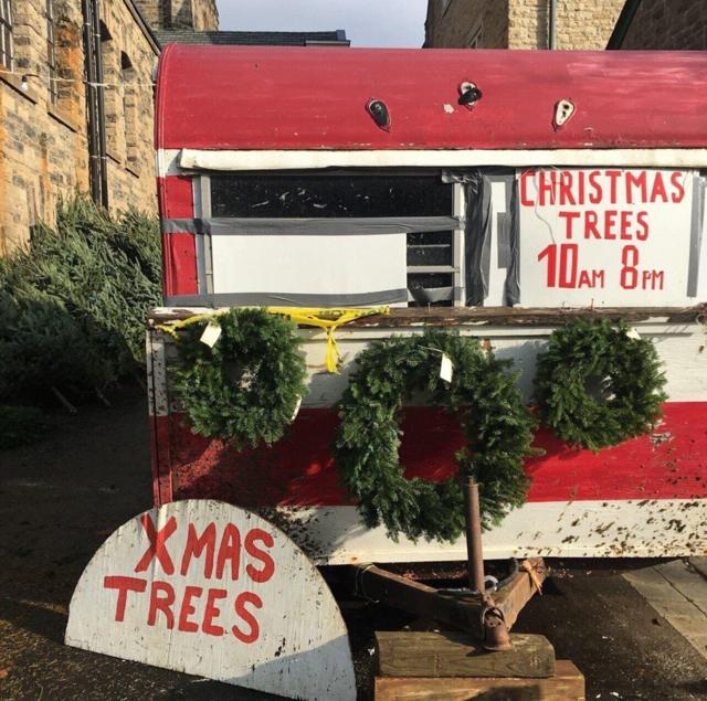 Where to buy Christmas trees in Toronto that give to charity