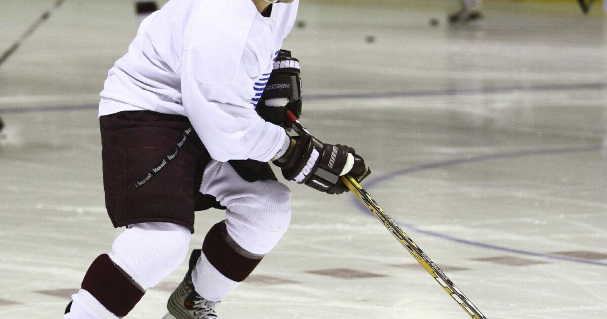 Mike Danton denied visa to play hockey in England