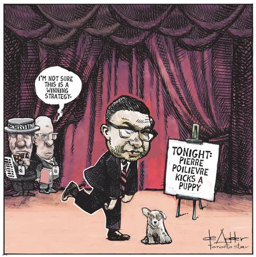 Michael de Adder: Political strategy
