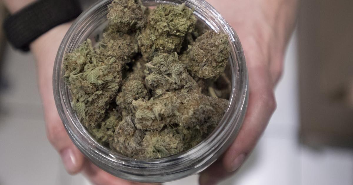 Employers scrambling to find a way to manage weed in the workplace