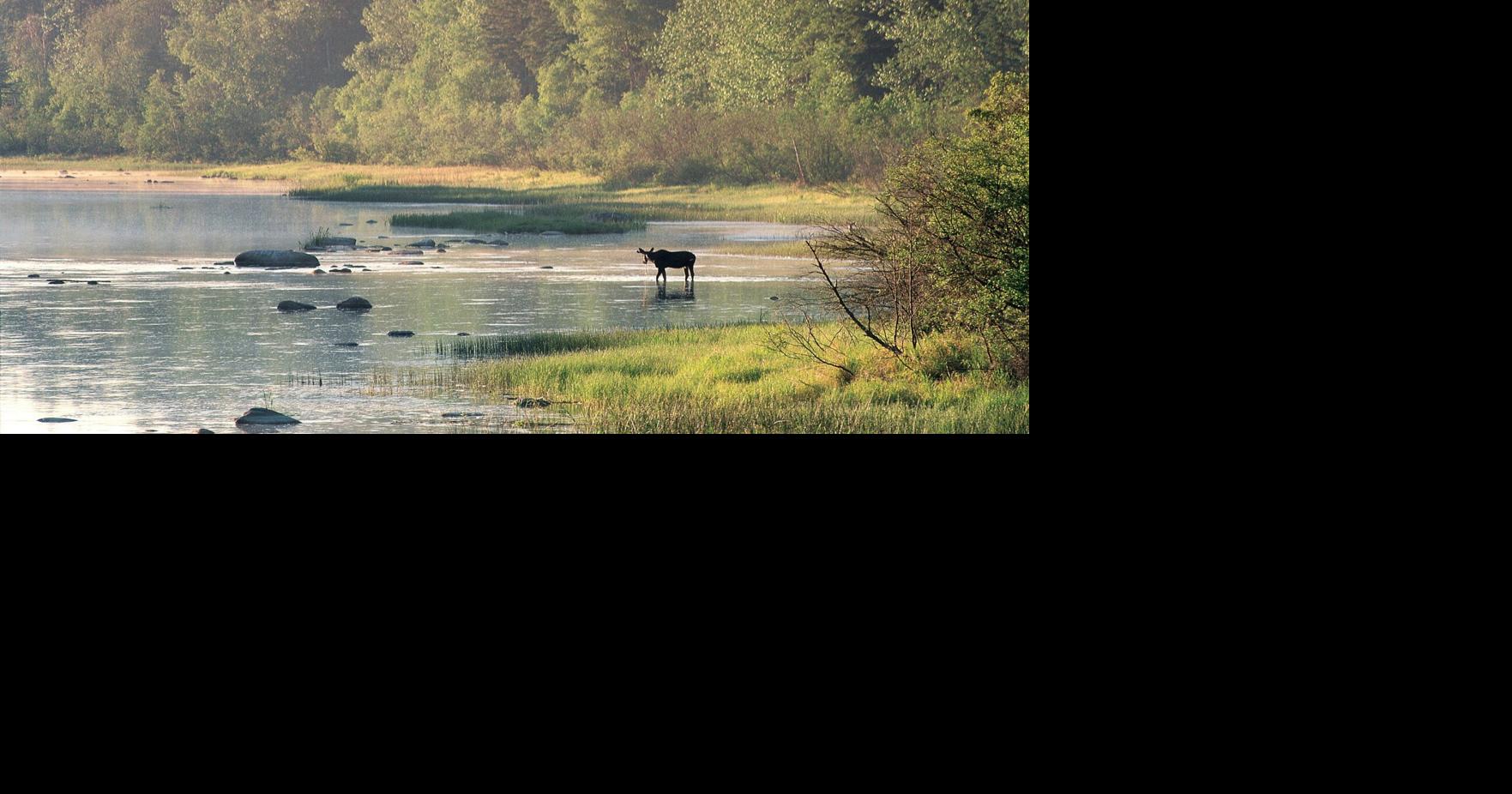 Conservation group CEOs deserve high pay