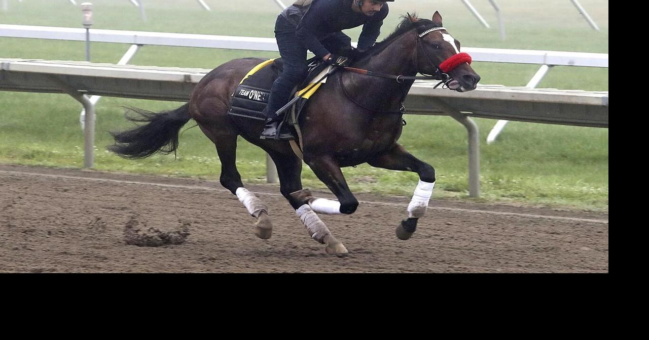 Hot Rod Charlie favored in $1 million Haskell at Monmouth