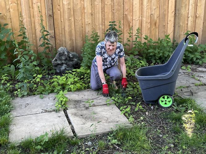 Outdoor home improvements law: backyard blunders lie in wait
