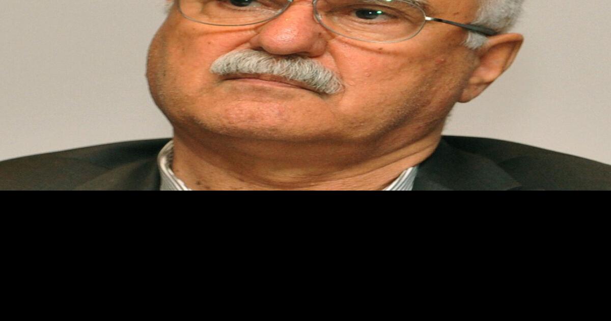 Syrian opposition leader wants more action from Canada