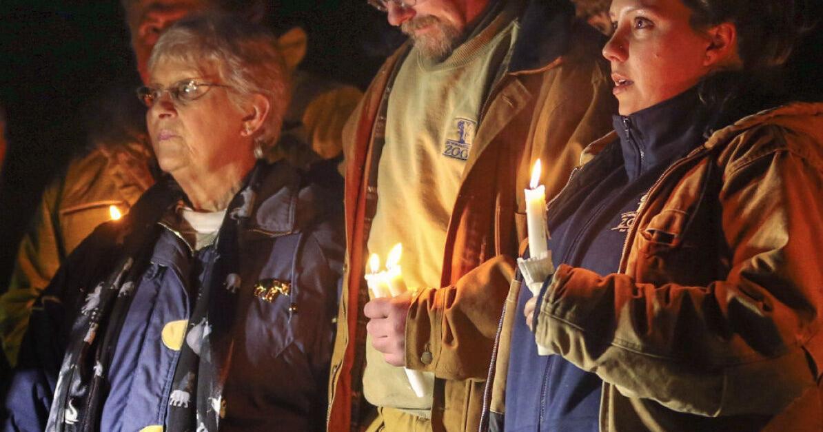 Bowmanville remembers Limba the elephant