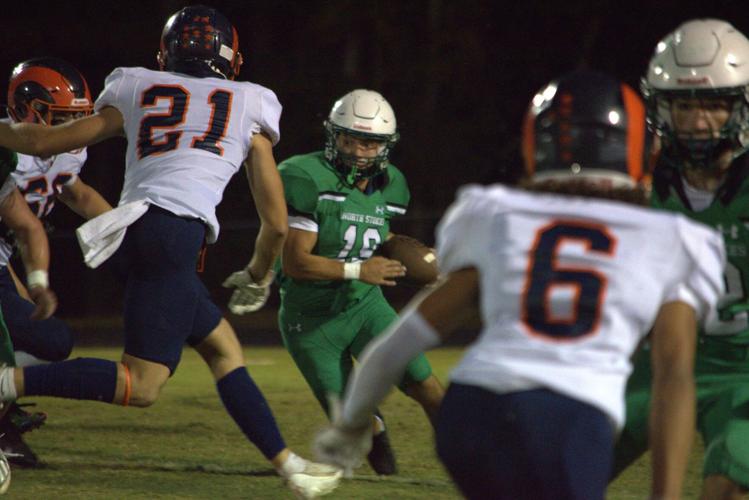 Rams continue streak over Vikings | Sports | thestokesnews.com