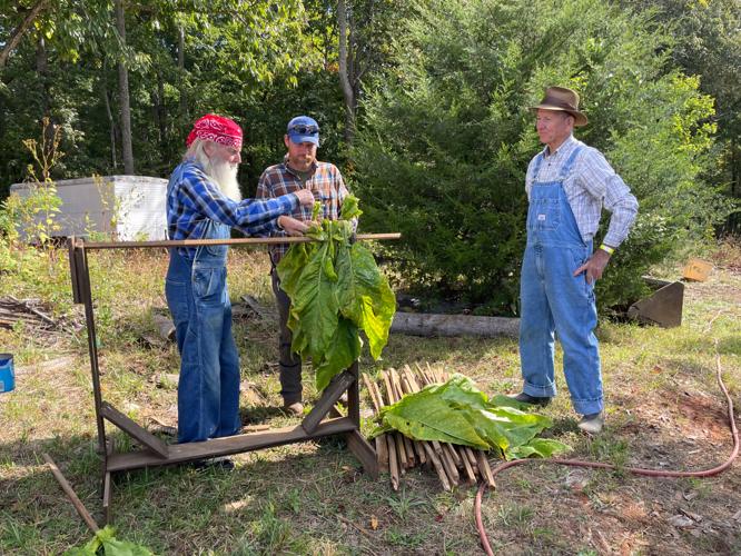 The old fashioned way: farm festival preserves Stokes County's ...