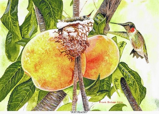 Local artist Frank Duncan at Hanging Rock Park Gallery | Local News ...