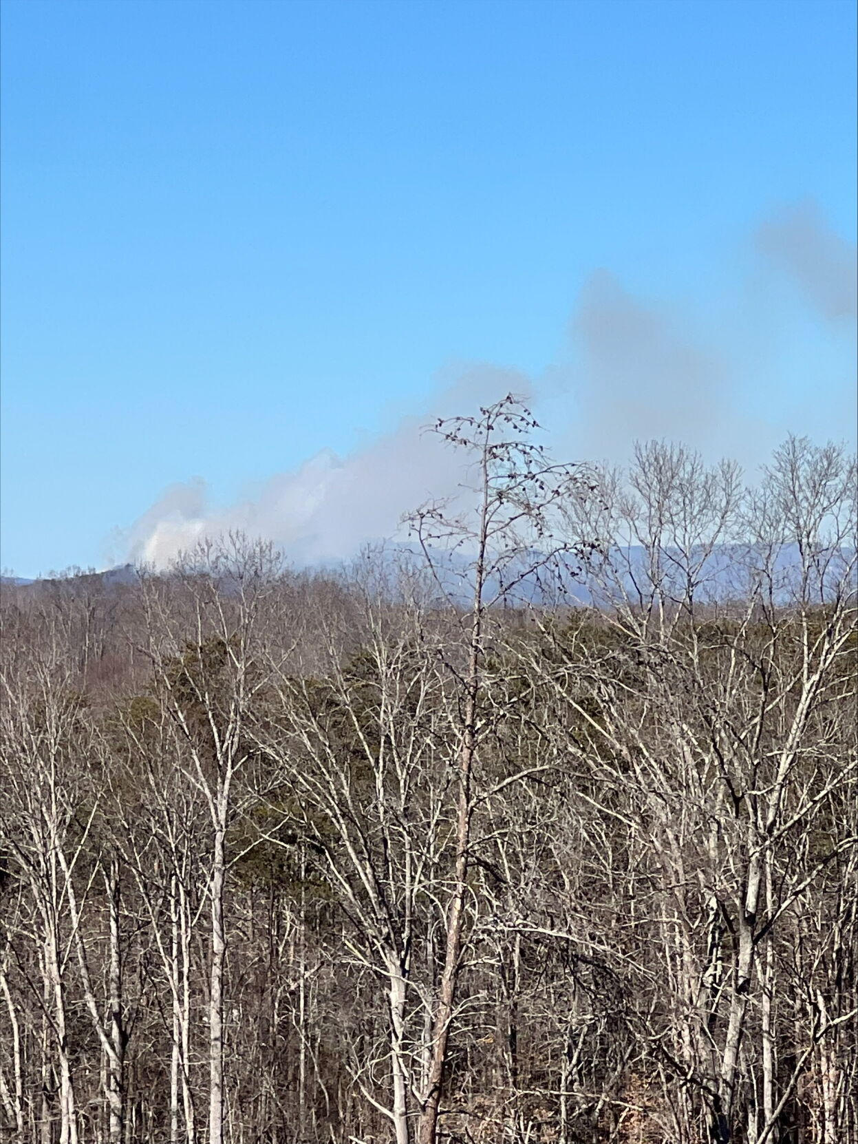 Debris fire burns 23 acres on Archie's Knob, rangers urge caution ...