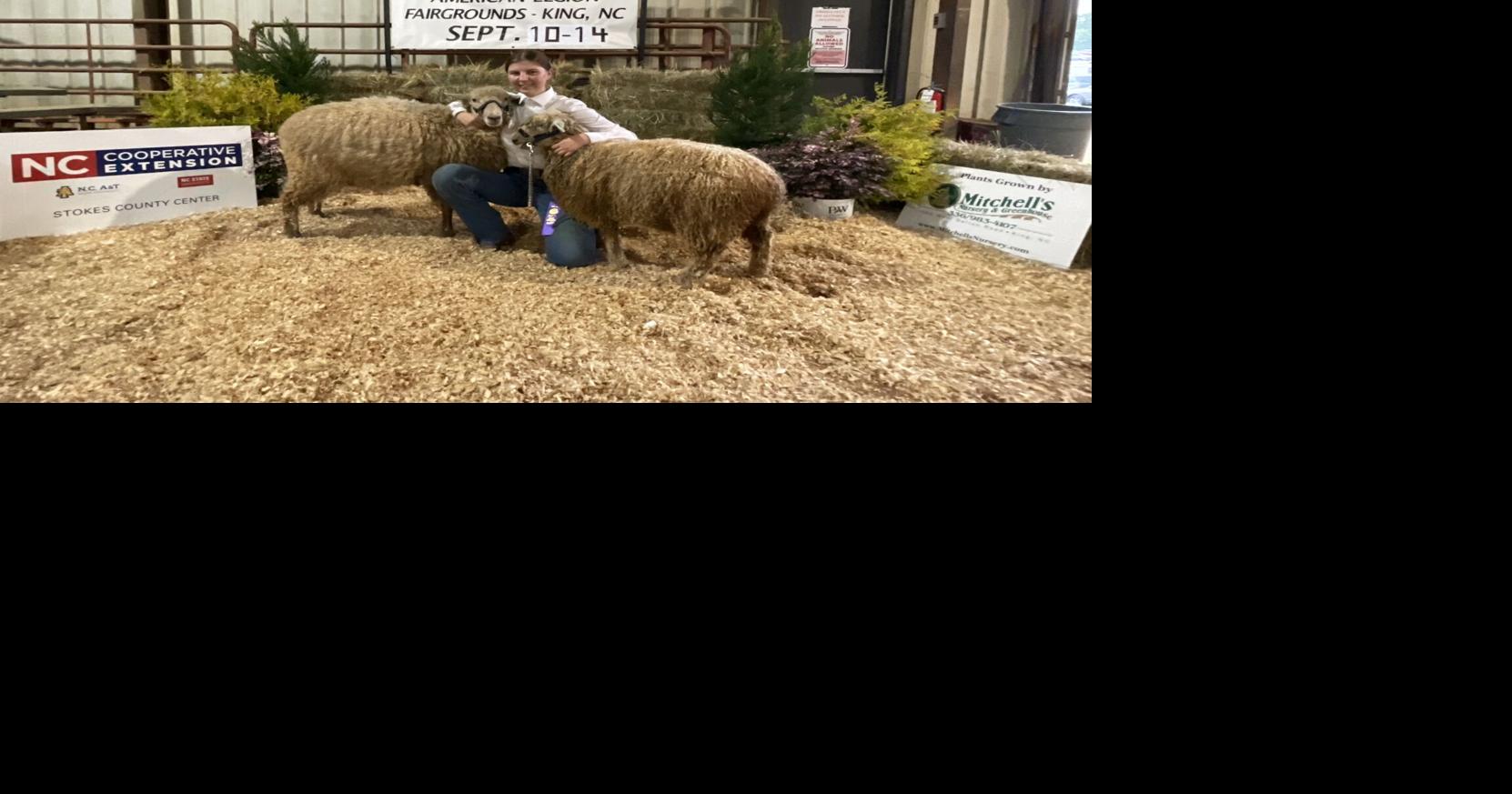 Stokes County Fair Livestock Shows | | thestokesnews.com