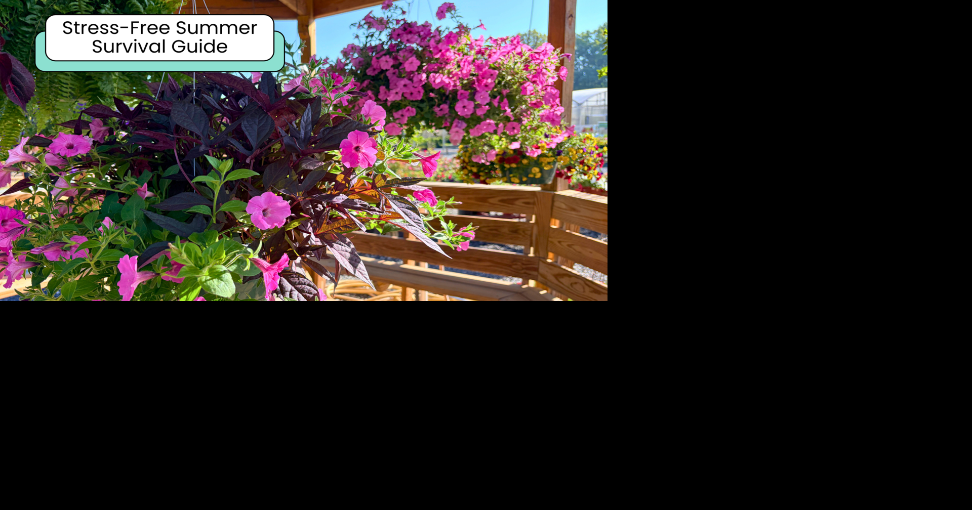 Tips from Mitchell's Nursery: Stress-Free Summer survival guide ...