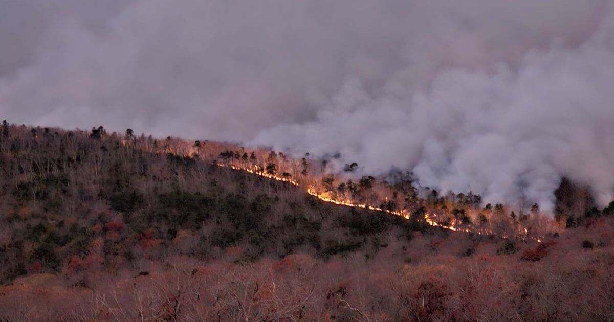 Statewide burn ban issued due to hazardous forest fire conditions, all ...