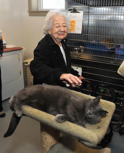 North Attleboro Animal Shelter