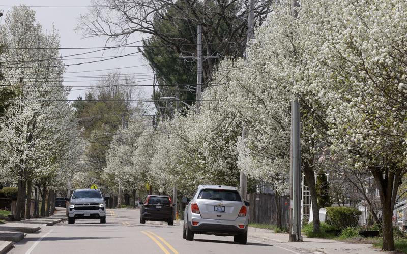 In Attleboro, trees take root as study points to urban heat inequality ...