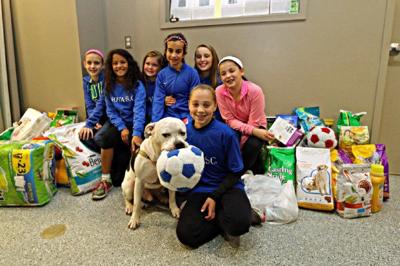 North Attleboro Animal Shelter