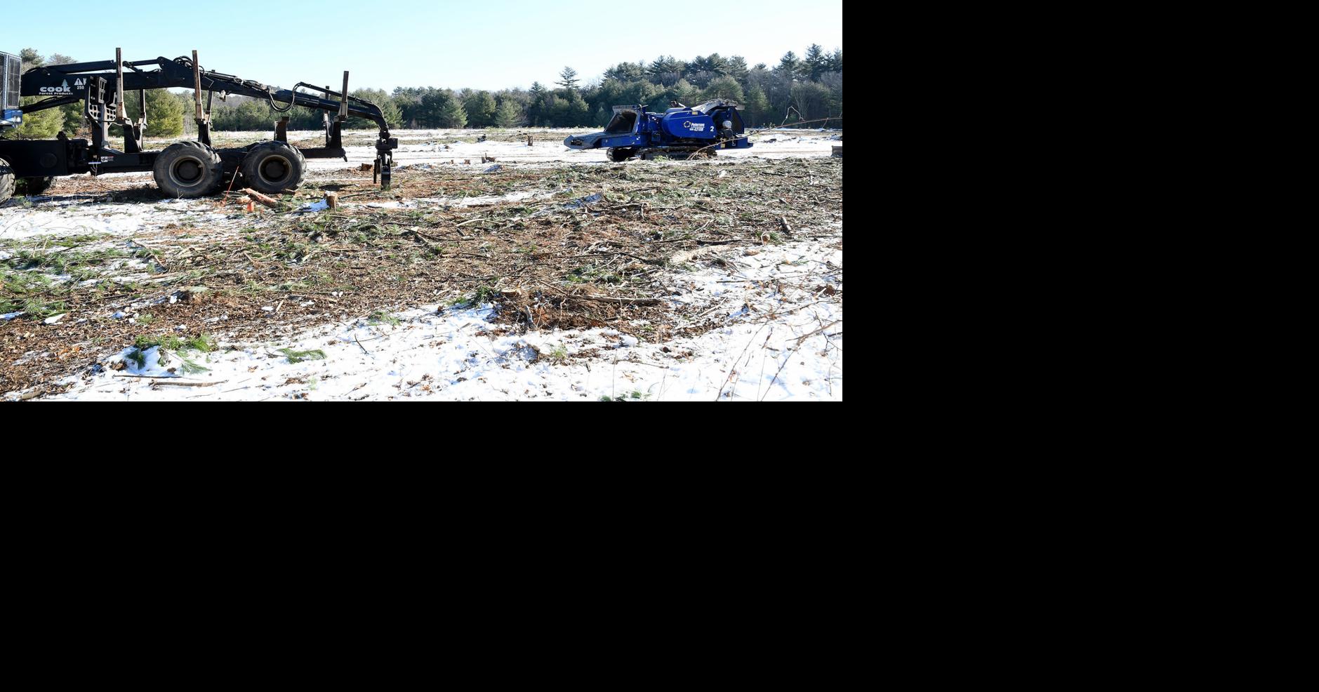 Tree-clearing at site of former Plainville drive-in first phase of ...