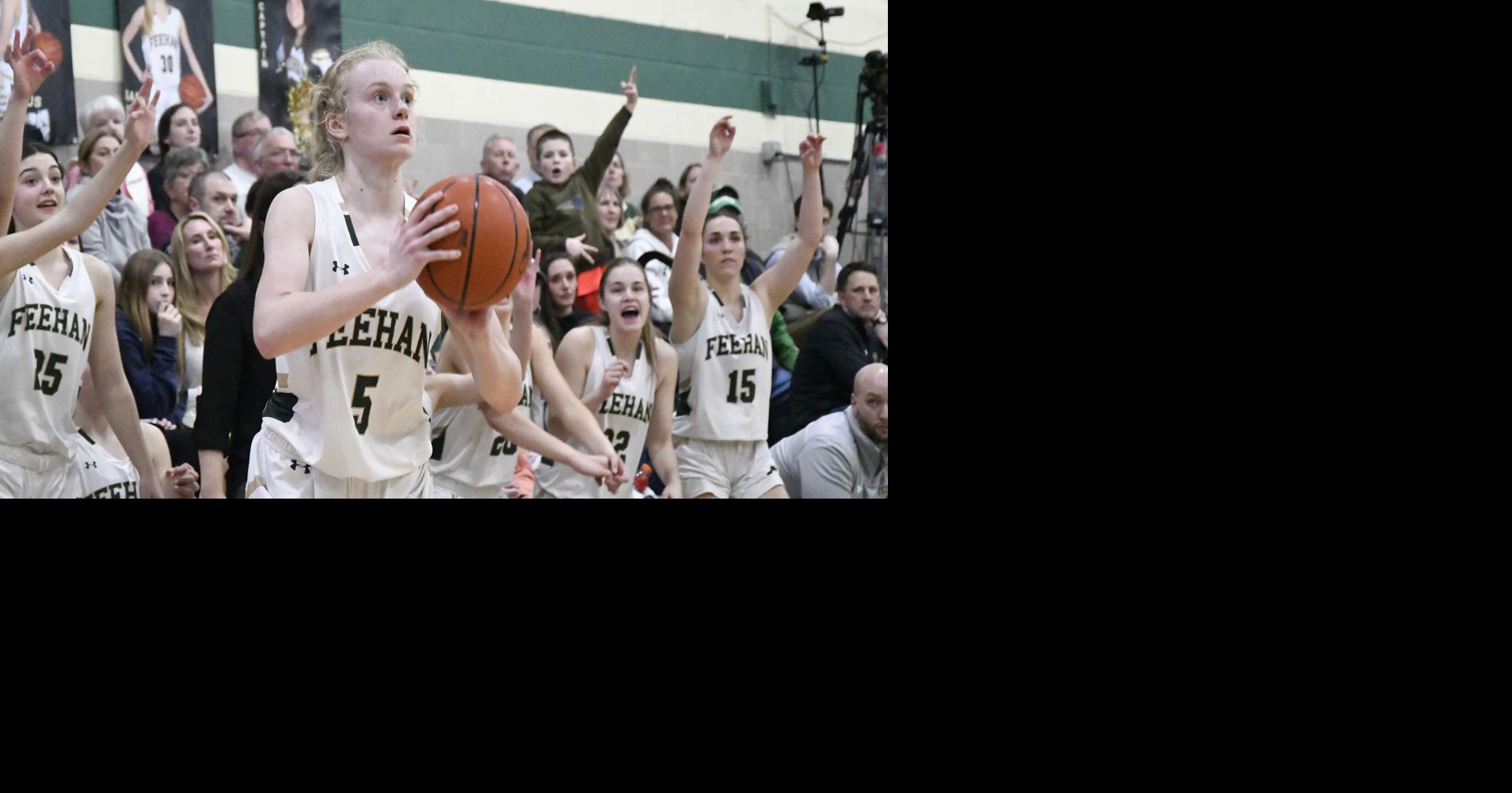 H.S. GIRLS BASKETBALL PREVIEW: Talented area field gears up for another ...