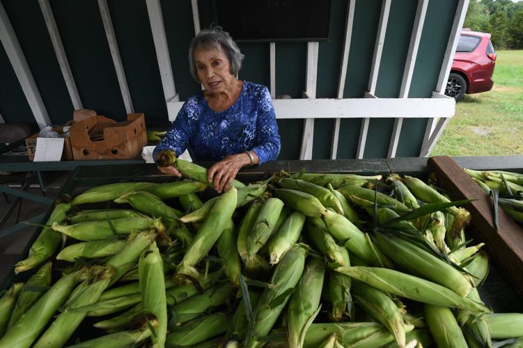 Fine Farms slips into history | Local News | thesunchronicle.com