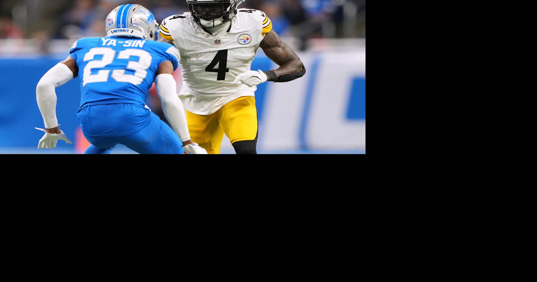 Steelers receiver DK Metcalf swipes at Lions fan leaning over railing ...