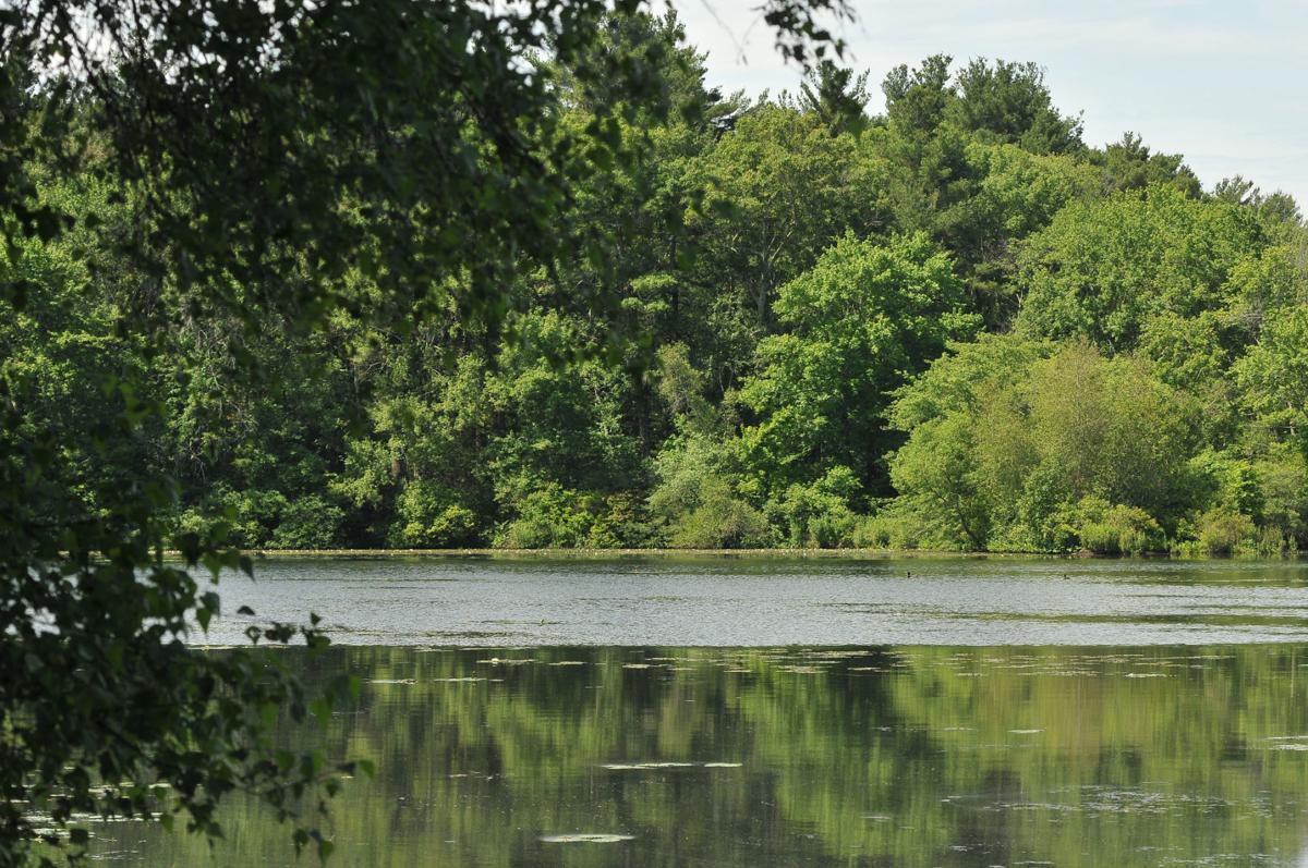 Town steps closer to owning Norton Reservoir island | Local News ...