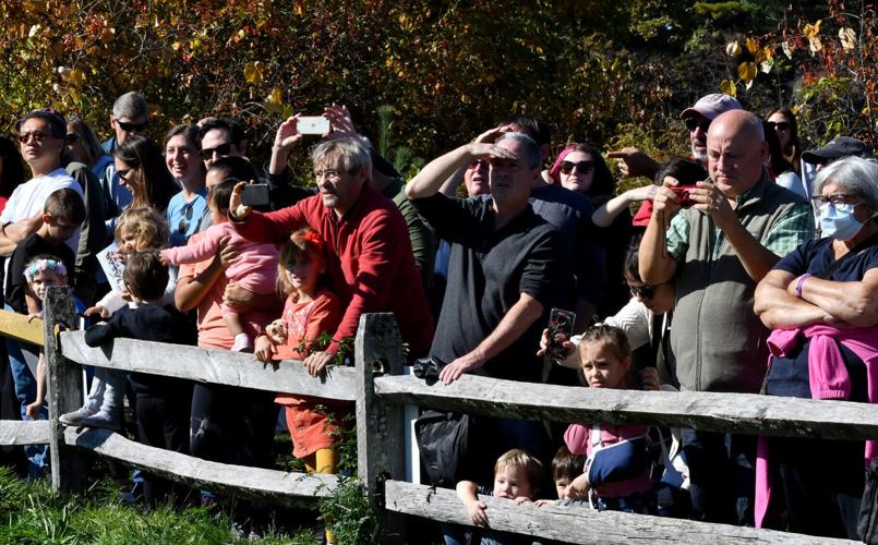 Fall Harvest Celebration at Patriot Place in Foxboro | Gallery ...