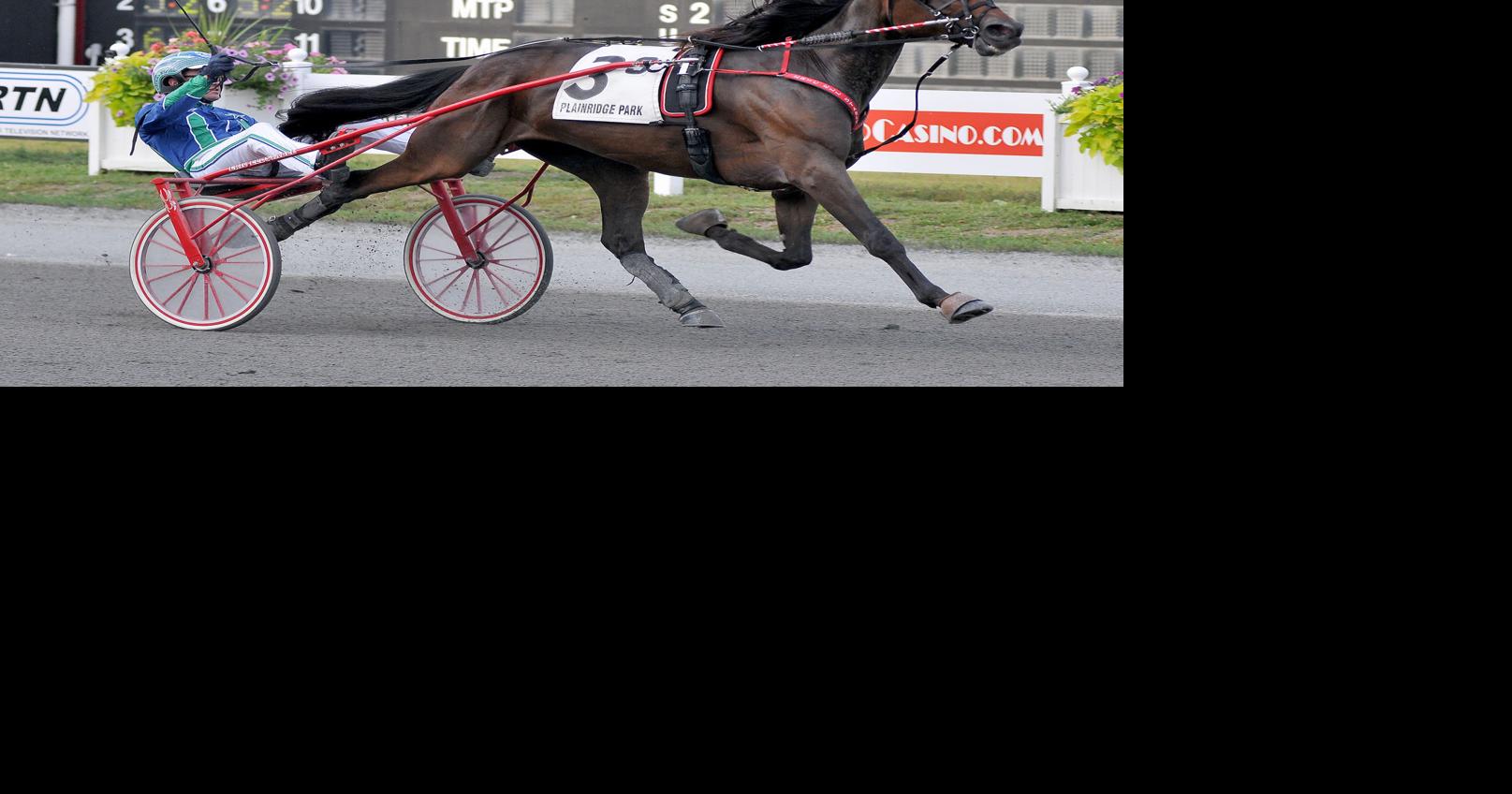 Mike Kirby: In Foxboro, harness racing once ruled | Columns ...