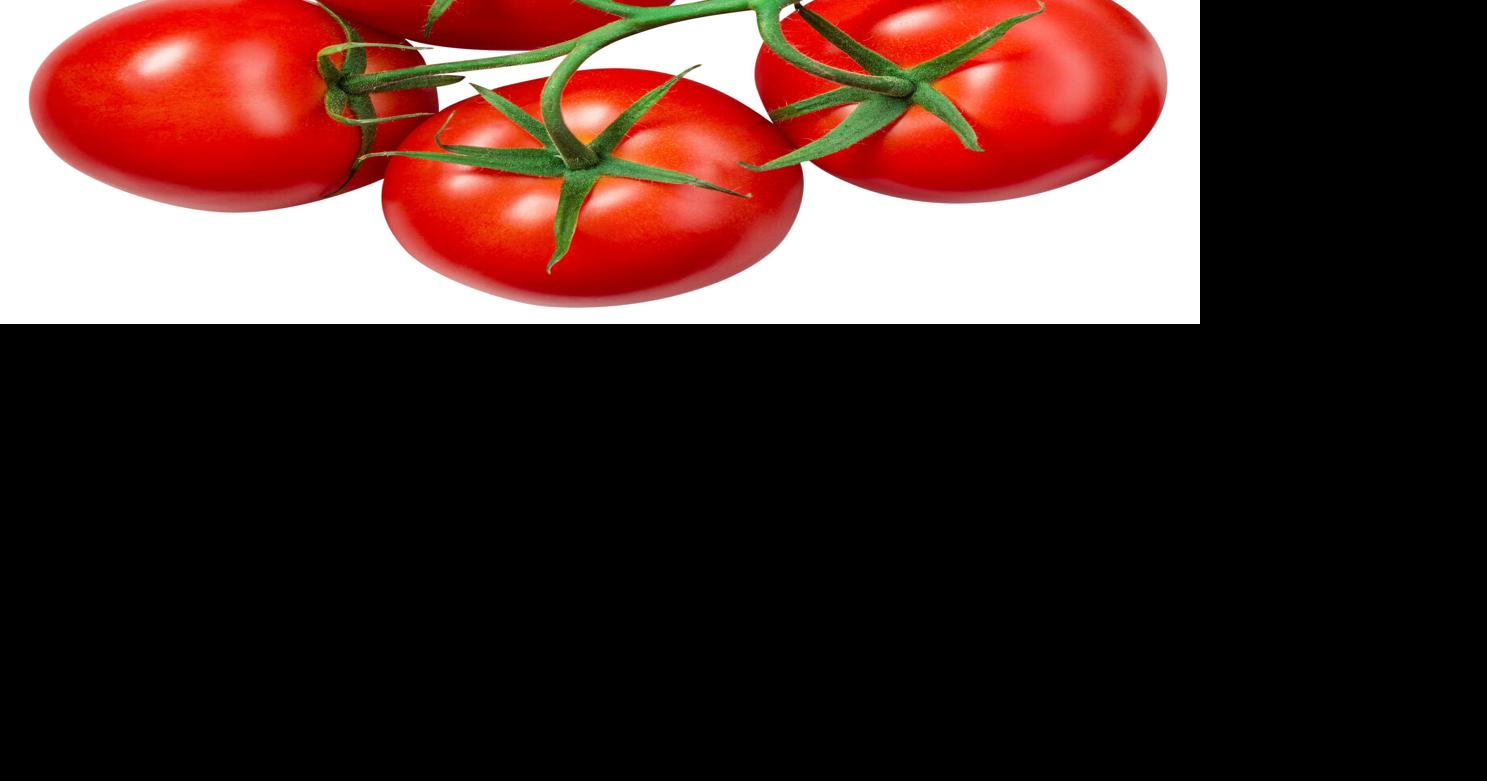 Farmers and judges agree: 'There's nothing like a fresh tomato' | Local ...