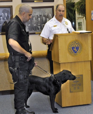 Drug-sniffing Maddie is off the trail | Local News | thesunchronicle.com