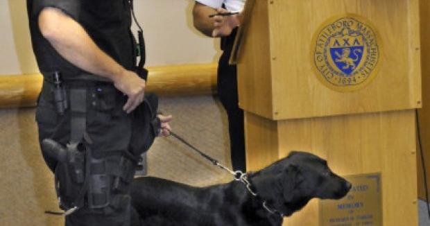 Drug-sniffing Maddie is off the trail | Local News | thesunchronicle.com