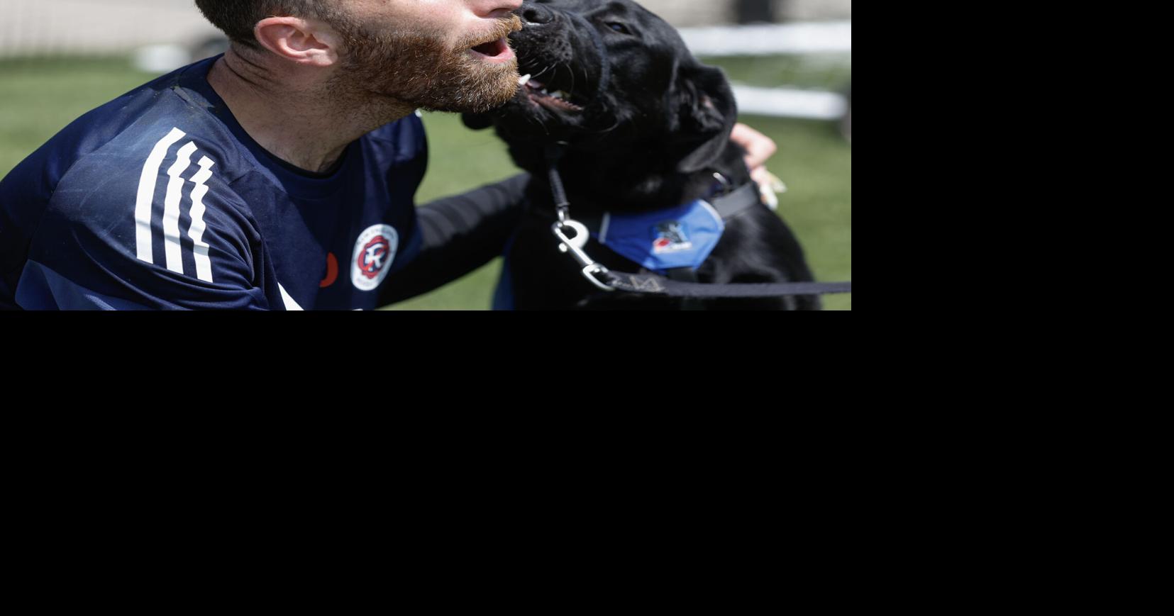 NEADS service dogs visit New England Revolution practice in Foxboro ...