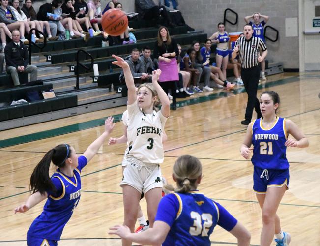 H.S. GIRLS BASKETBALL: Bishop Feehan scores heavyweight knockout of ...
