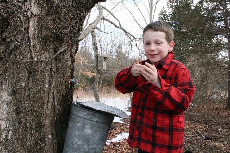 Things to do in the Foxboro area and beyond | Around Town ...
