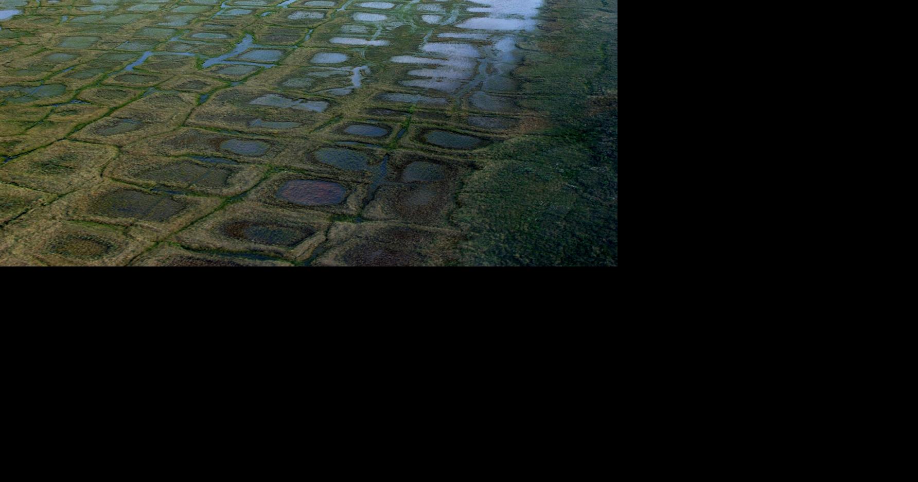 Winter drilling program in Alaska petroleum preserve can proceed, judge ...