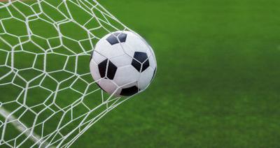 Youth soccer club proposes building synthetic turf fields in Mansfield ...