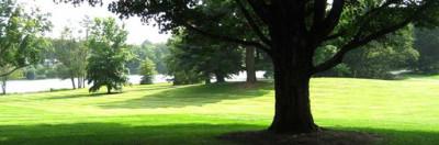 Festival celebrates opening of Ames Estate in Easton | Go ...