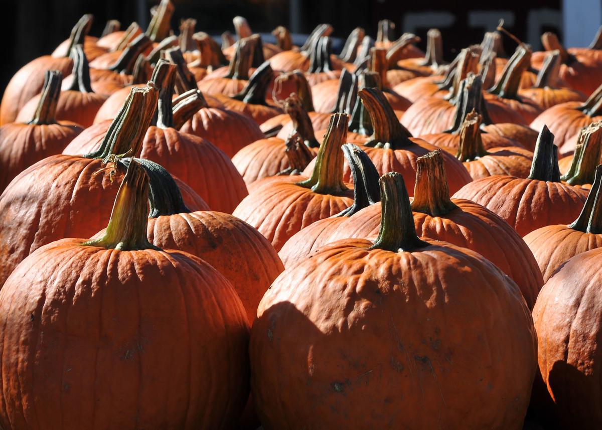 150 years on the Flint family farm in Mansfield | Local News ...