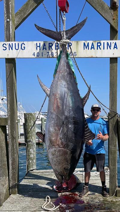 Dave Monti: Prized 788-pound bluefin tuna takes Boston Bluefin Classic ...