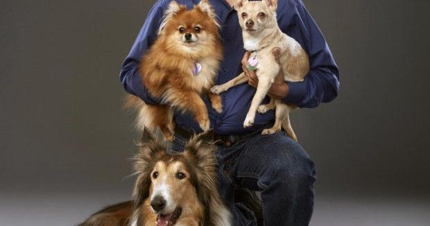 Animal actors' trainer gets own reality TV show | Pet Day ...