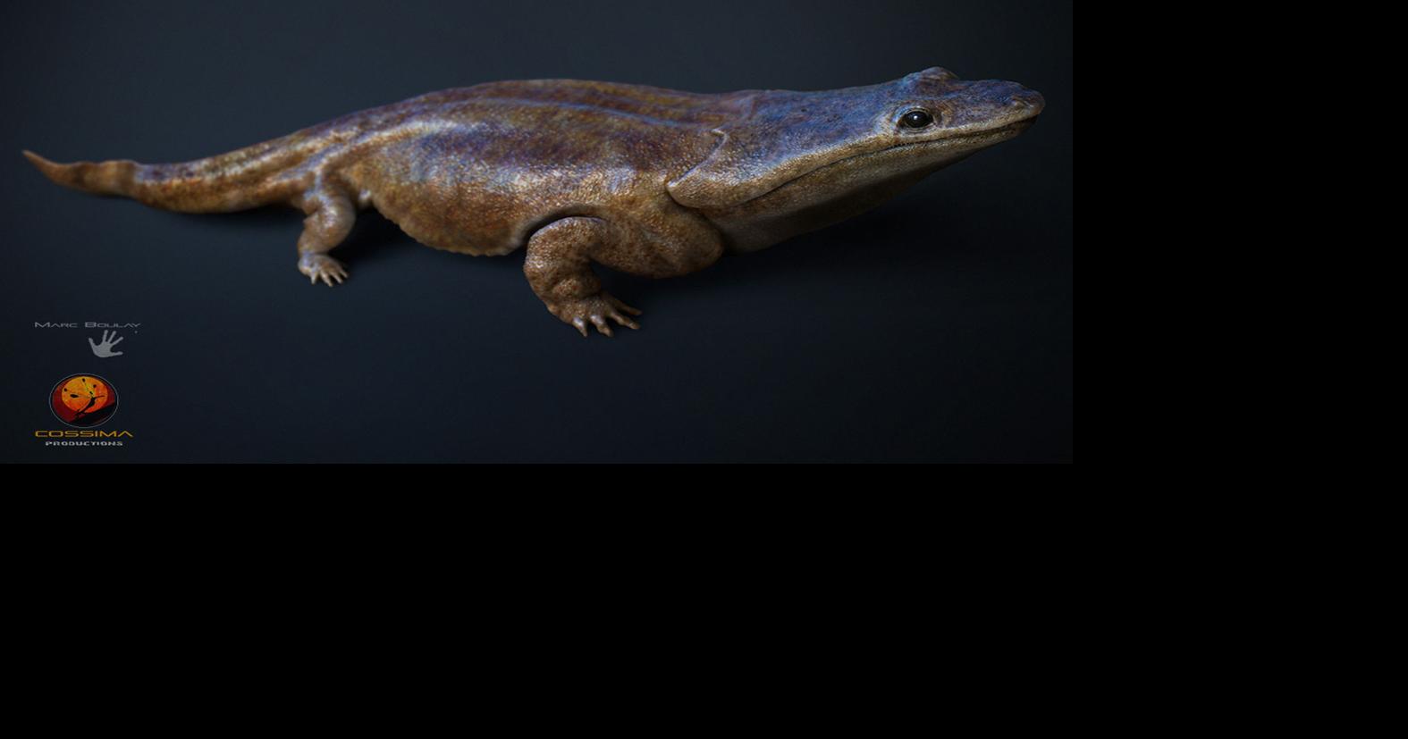 Researchers find fossil of ’Super Salamander’ species | Nation World ...