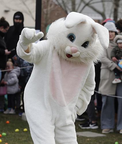 Foxboro Jaycees annual Easter egg hunt | Gallery | thesunchronicle.com