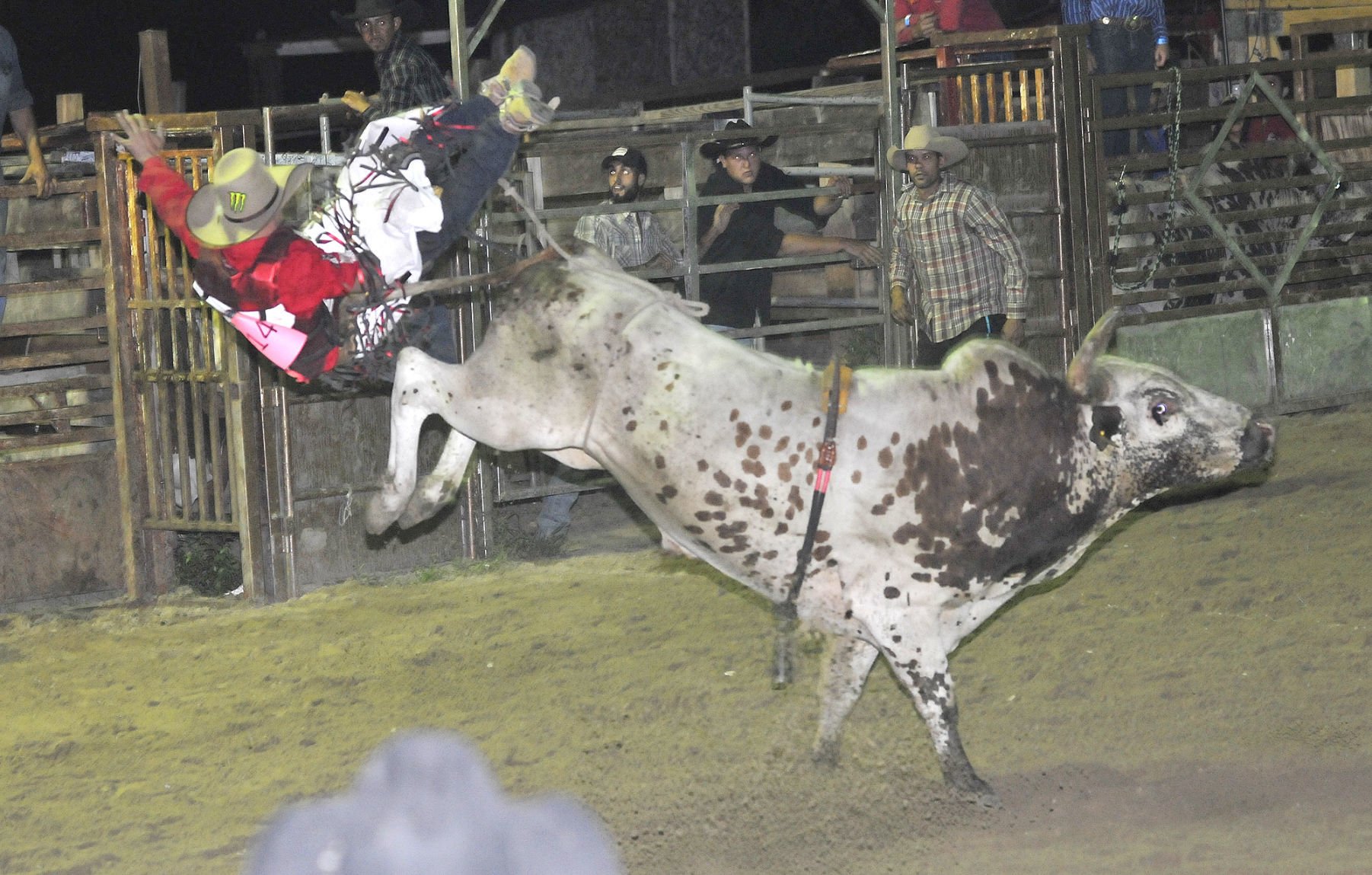 Large housing development proposed for rodeo site in Norton | Local ...